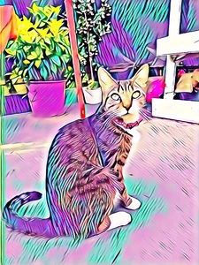 GabyC (@gabyghc) • Tecito